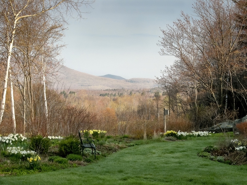 The cusp of spring - North Country Reflections